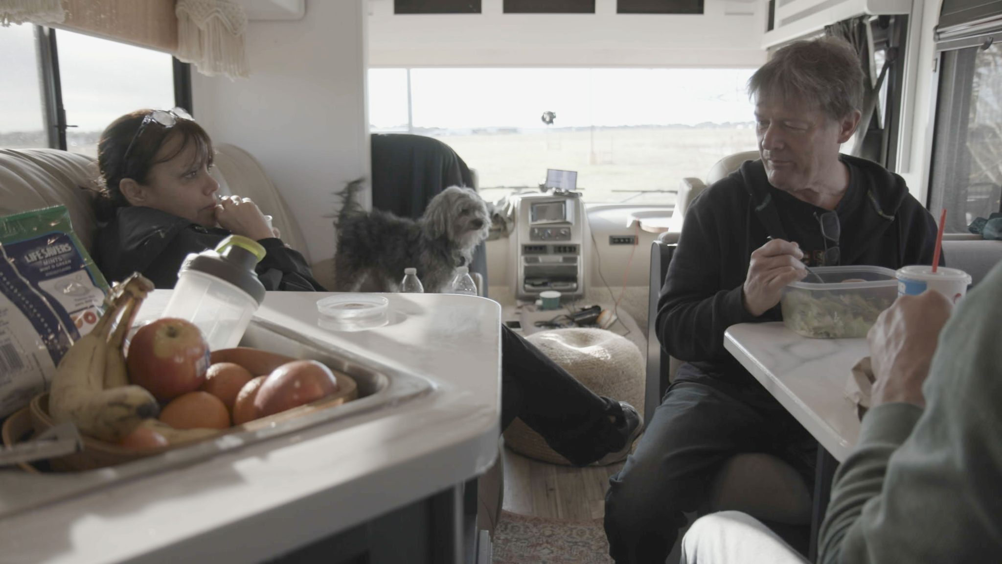 The Story - Facing the Wind